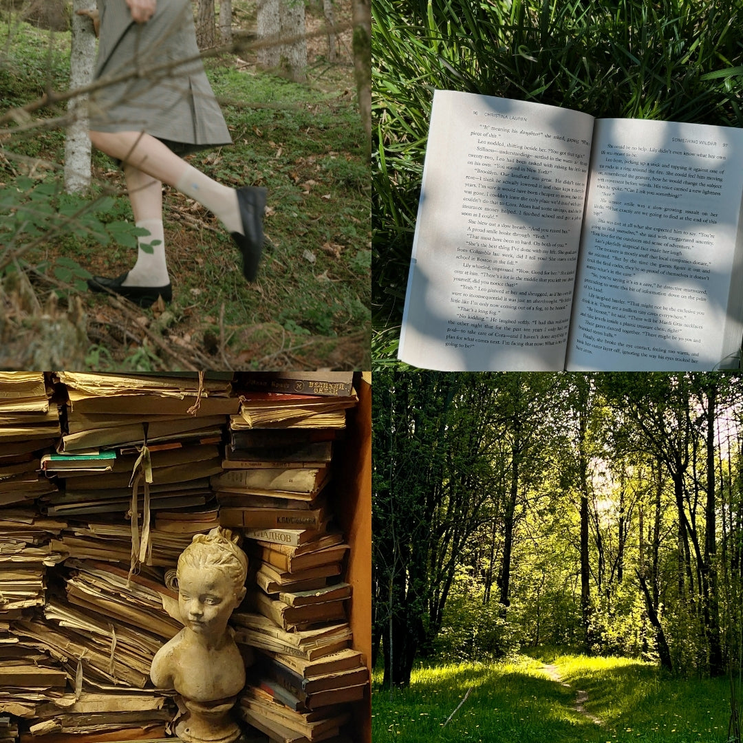 Library in a Forest – THE NEW SAVANT